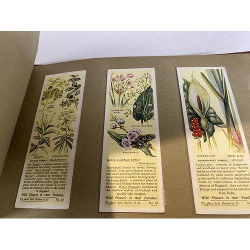 Typhoo Tea Cards - Album of Wild Flowers, Series 1 & 2 (Cards Stuck In)