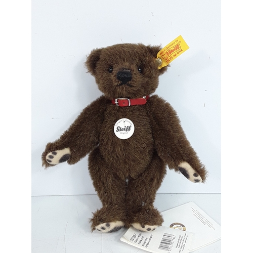 Boxed Steiff bear