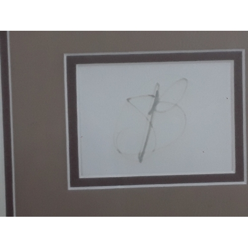 Framed and signed Sandra Bullock picture with certificate of ...