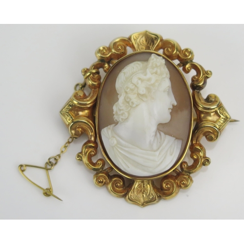A Victorian Shell Cameo Brooch decorated with a classical male bust in ...
