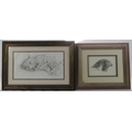David A Scott, South West contemporary wildlife artist and photographer ...