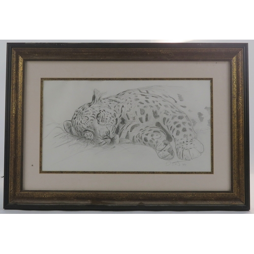 David A Scott, South West contemporary wildlife artist and photographer ...