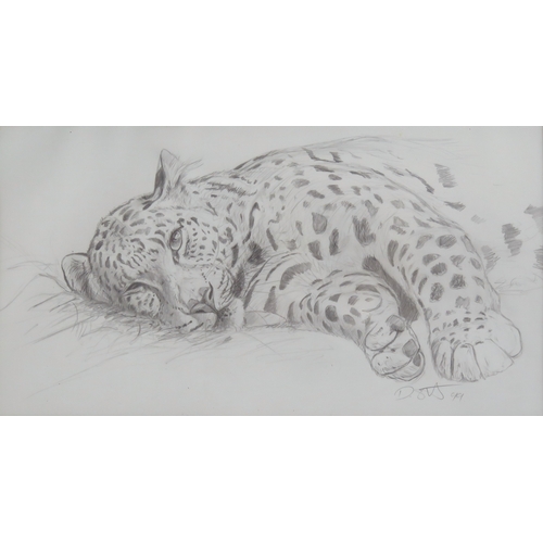 David A Scott, South West contemporary wildlife artist and photographer ...