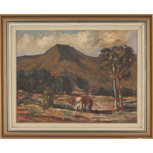 Pieter Millard (South African 1936 - 2017) CATTLE GRAZING