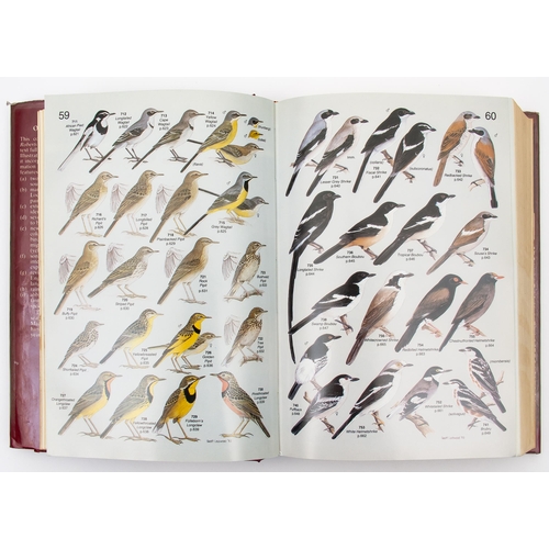 ROBERTS' BIRDS OF SOUTHERN AFRICA by Gordon Lindsay Maclean ...