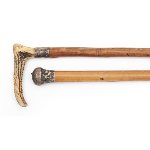 TWO WALKING STICKS