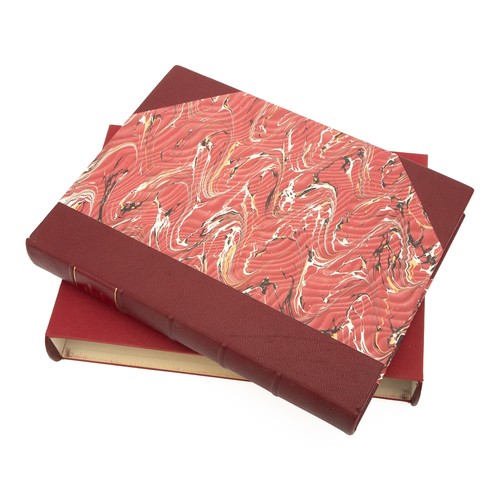 VULTURES OF AFRICA (COLLECTORS EDITION) by Duncan Butchart (Ill.)