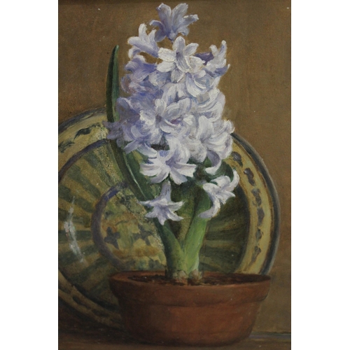 Maxwell Armfield, oil on card, study of a hyacinth in a bowl, signed ...