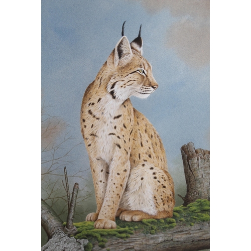 Stephen Gayford, watercolour, European lynx in a landscape, signed, 43 ...