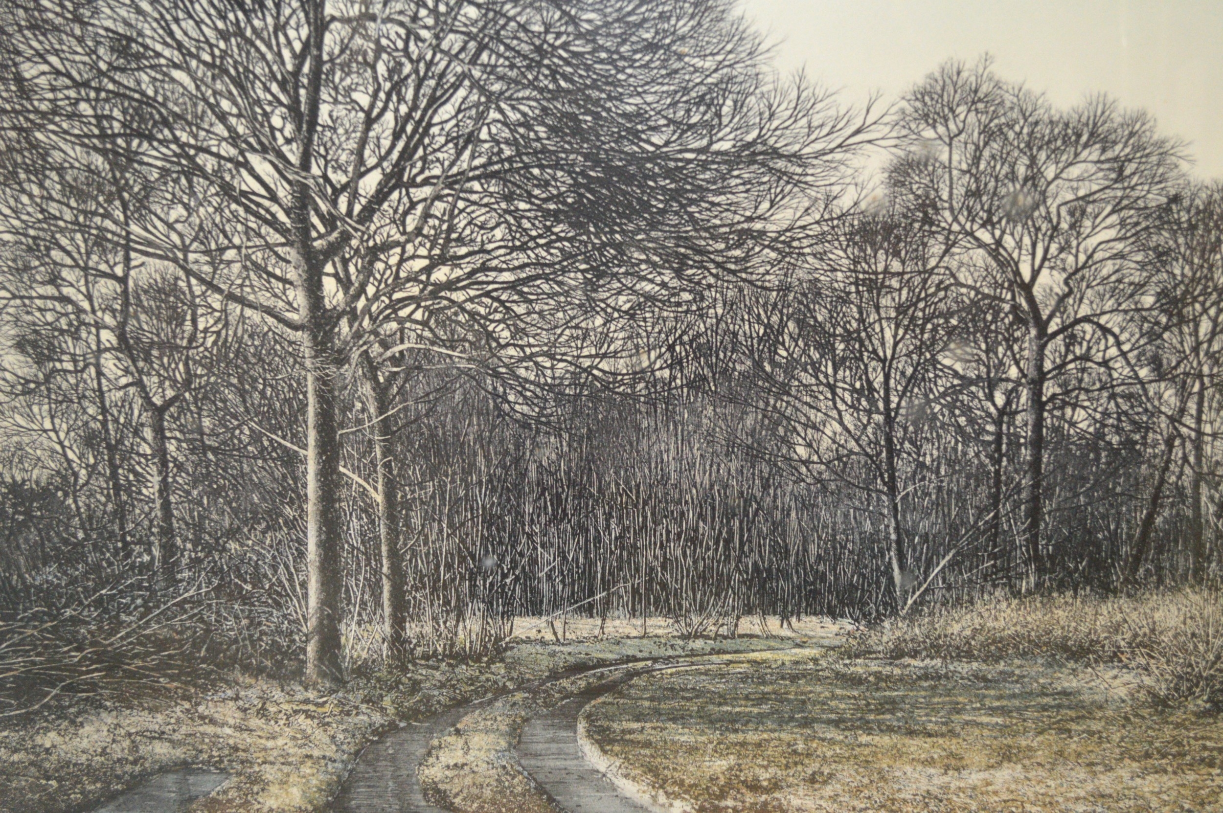 Paul Bisson, artist signed coloured engraving, autumn woodland, Limited ...