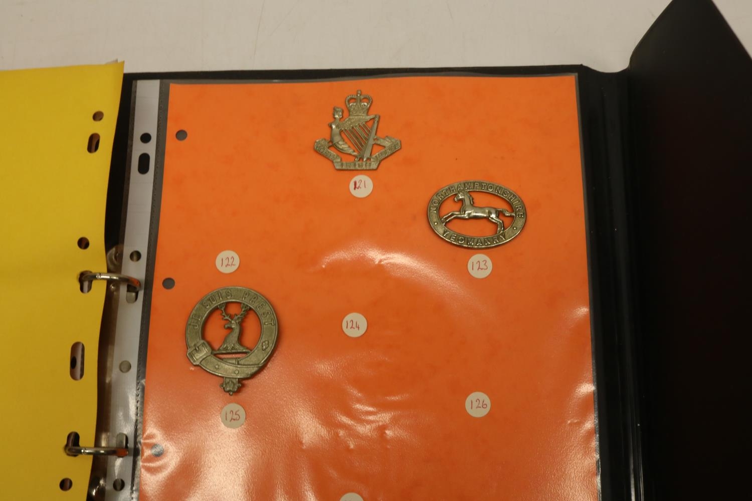 Collection Of Military Badges In Folder Inc Norfolk Yeomanry King