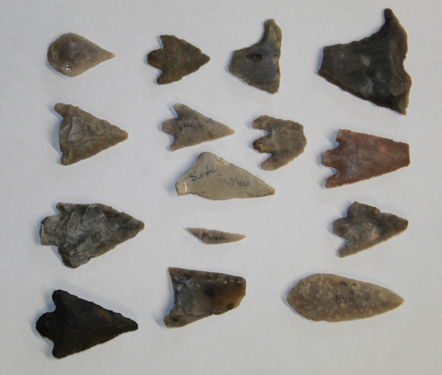 Large collection of Neolithic arrow heads, microliths, scrapers found ...