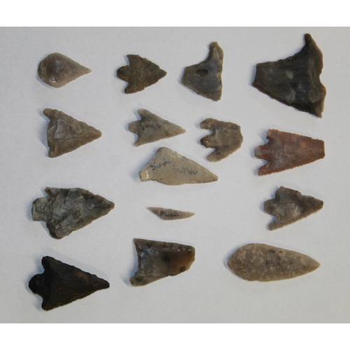 Large collection of Neolithic arrow heads, microliths, scrapers found ...