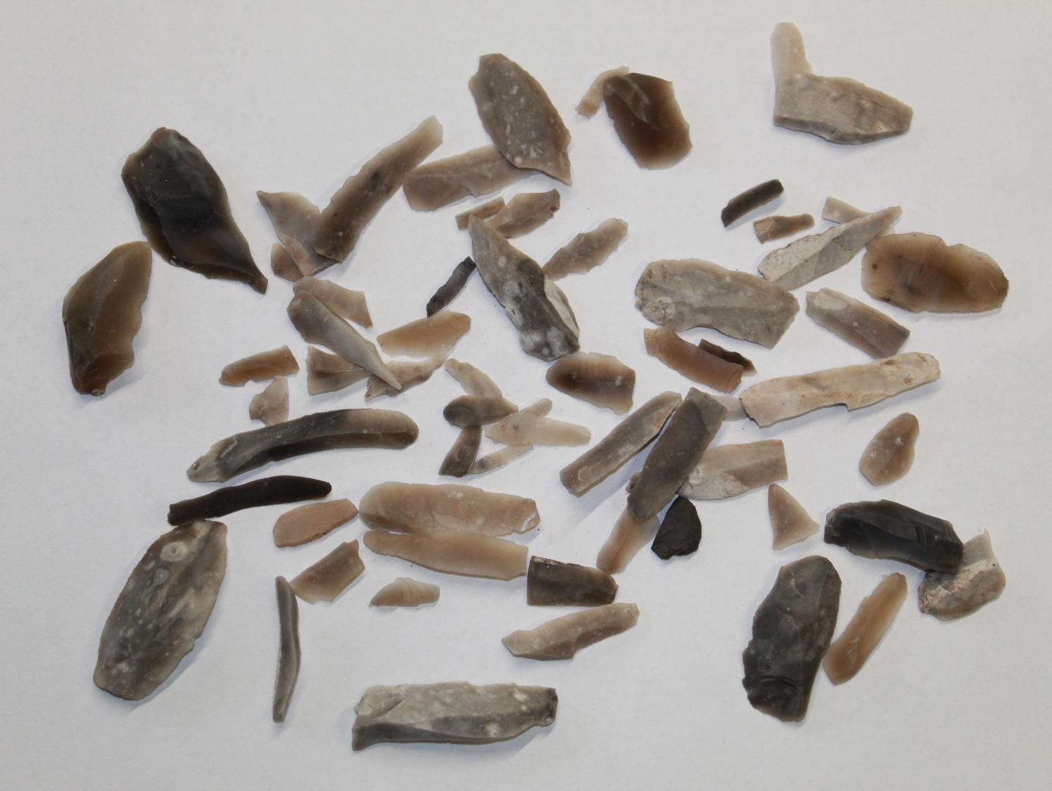 Large collection of Neolithic arrow heads, microliths, scrapers found ...