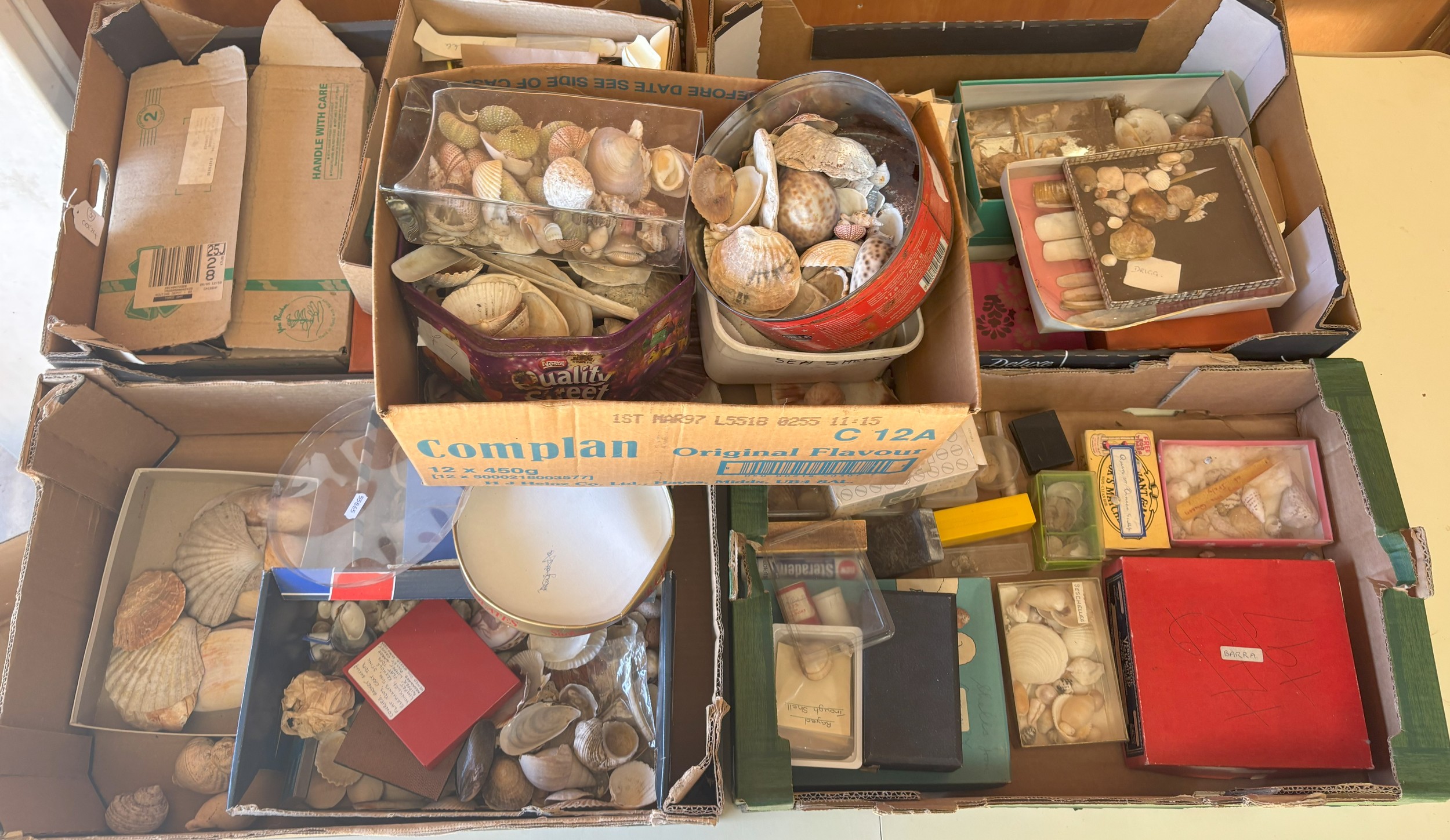 Large collection of shells, ecological samples, etc. (5 boxes) Shipping ...