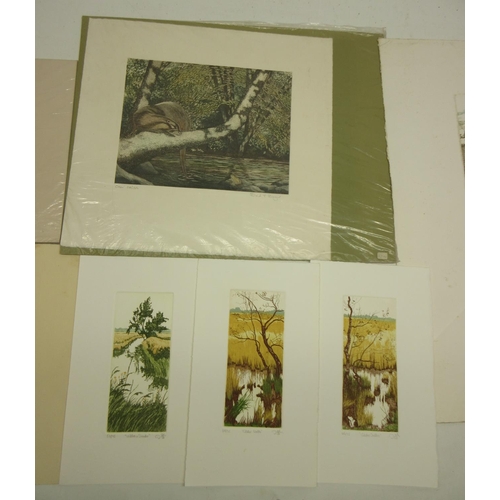 Jan Dingle (British Contemporary) 'Willow Shade' 53/75, 'Older Webb' 68 ...