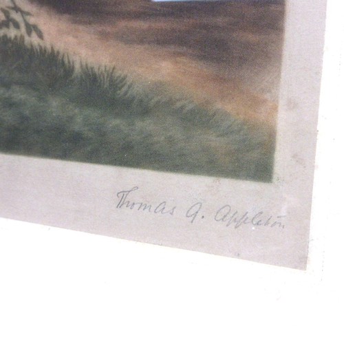 Rembrandt portfolio alongside Thomas Gooch Appleton (British, 1854-1924 ...