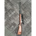 A Tri Arrow (SMK) B45-3 multi pump pneumatic air rifle