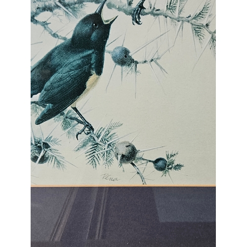 5 Framed Bird Prints By Rena