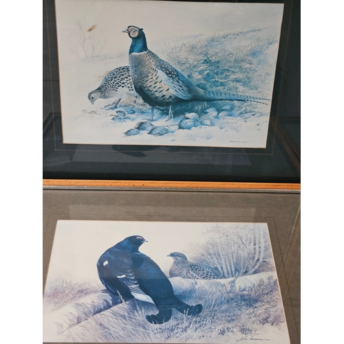 A Set Of 4 Framed Game Bird Prints