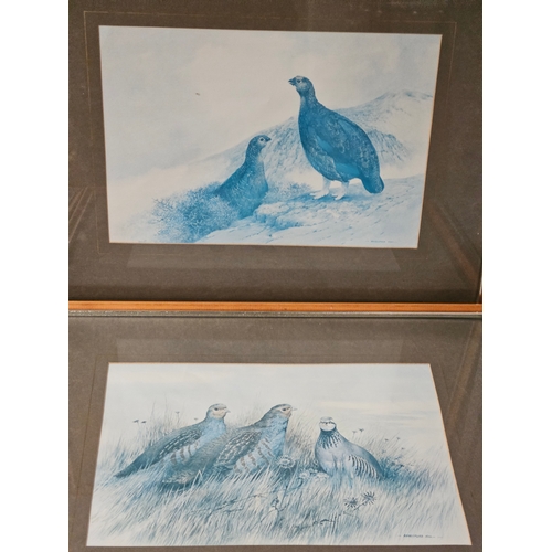 A Set Of 4 Framed Game Bird Prints