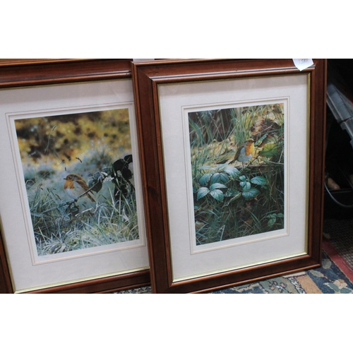 2 PINE FRAMED LTD EDT STEVEN TOWNSEND ROBIN PICTURES
