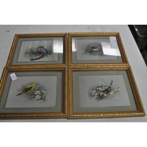 SET OF 4 FRAMED BIRD PRINTS