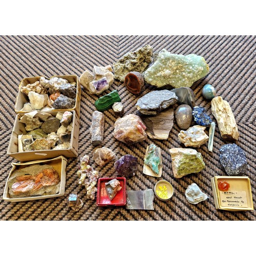 Large assortment of geological rock and gem samples, raw crystals ...
