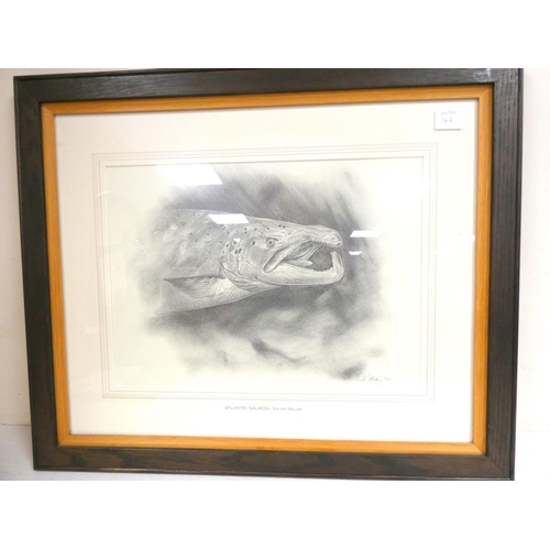 SUTTERBY RODERICK & GREENHALGH MALCOLM. Atlantic Salmon. Col. illus ...