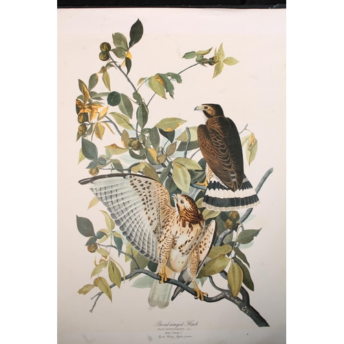 JOHN JAMES AUDUBON (American 1785-1851), The Audubon Folio, text by ...