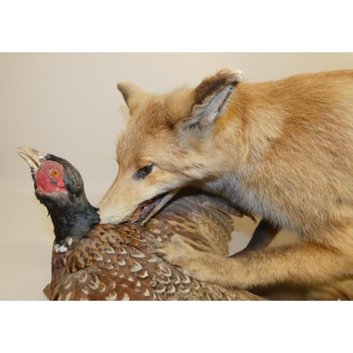 Taxidermy Interest - large fox and pheasant group, pre-1947, in the ...