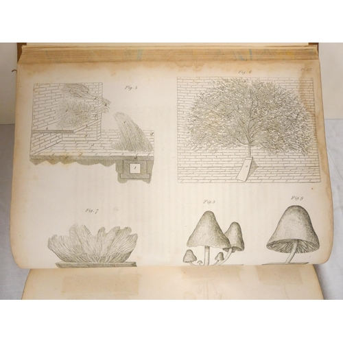 MCWILLIAM ROBERT. An Essay on the Origin & Operation of the Dry Rot ...