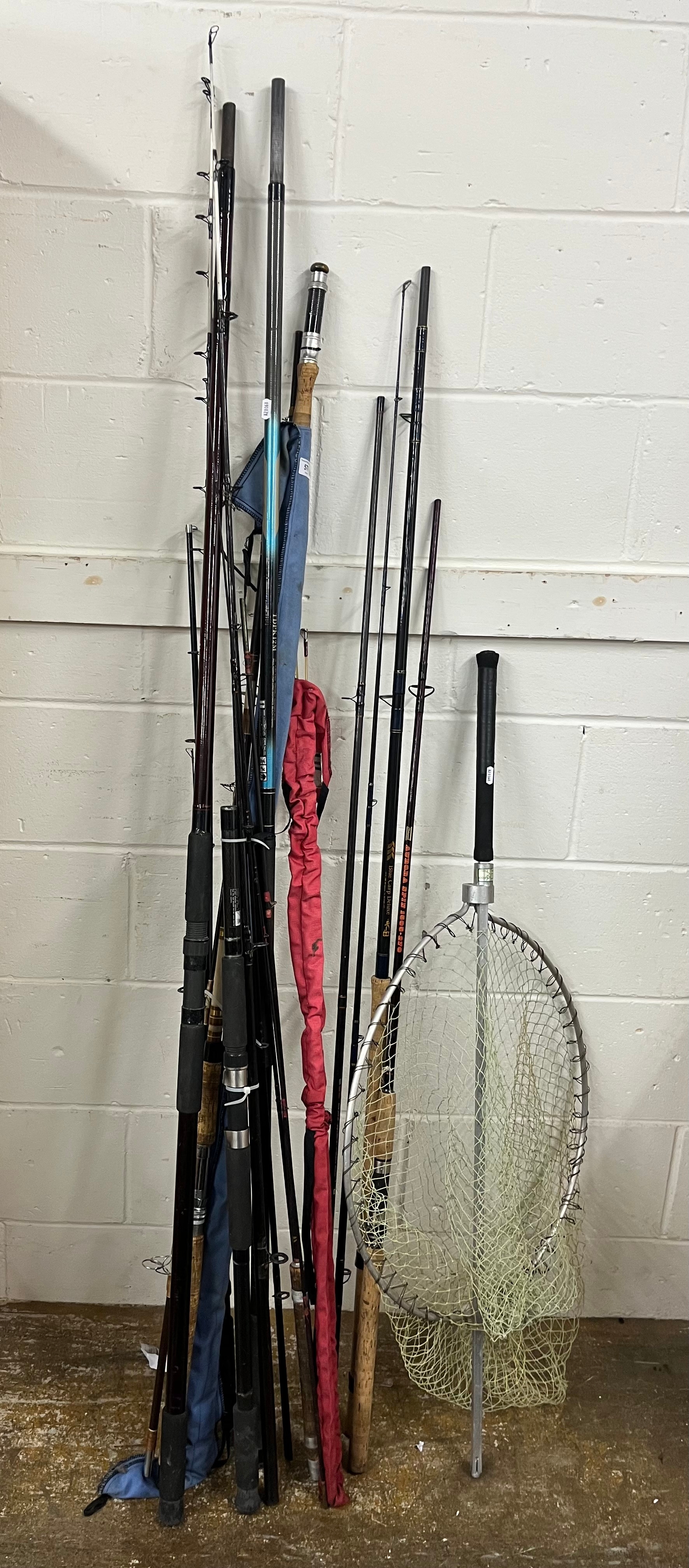 Collection of various fishing rods with a fishing net.
