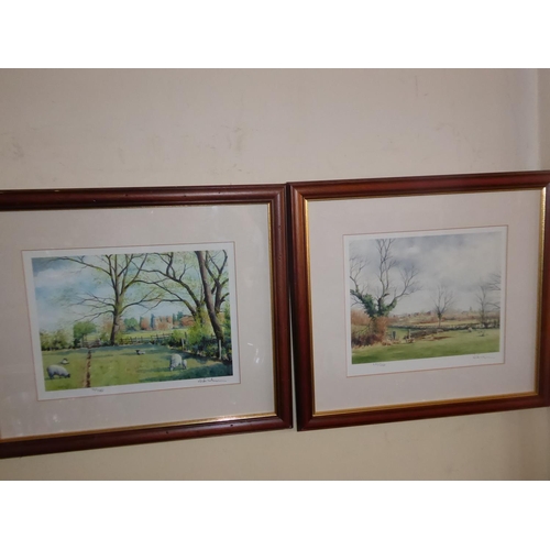 Limited edition signed prints - landscapes - Judy Boyes and Nick Turley (4)