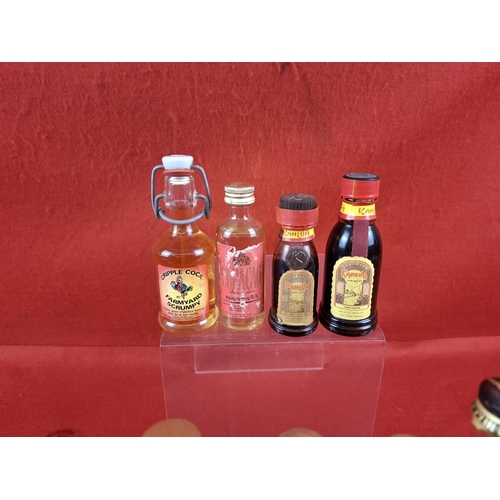 24 x Collectible Vintage mixed Liquer miniature bottles