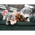 Assorted Soft Toys