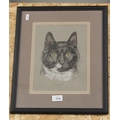 Framed Pastel Study of a Cat "Sousa" by J Cochrane, approx 20 x 26cm.