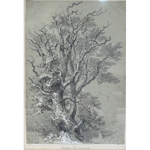 JOSEPH MURRAY INCE. BRITISH 1806-1859 Old Oak; Birch. A pair. Both ...