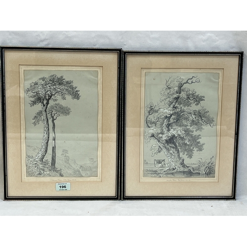 JOSEPH MURRAY INCE. BRITISH 1806-1859 Italian Pine; Wyche Elm. A pair ...