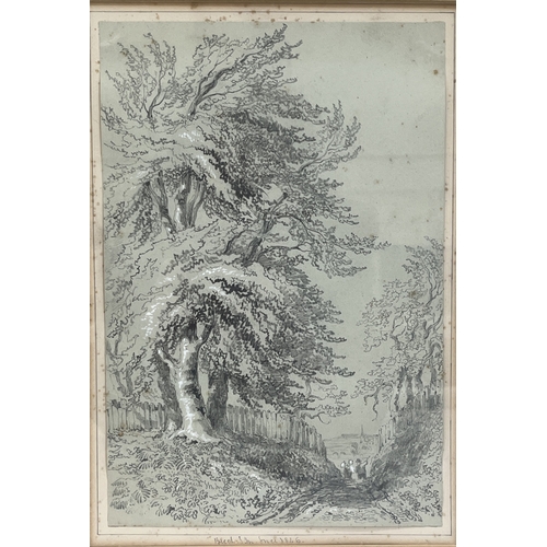 JOSEPH MURRAY INCE. BRITISH 1806-1859 Birch; Pollard Willow. A pair ...