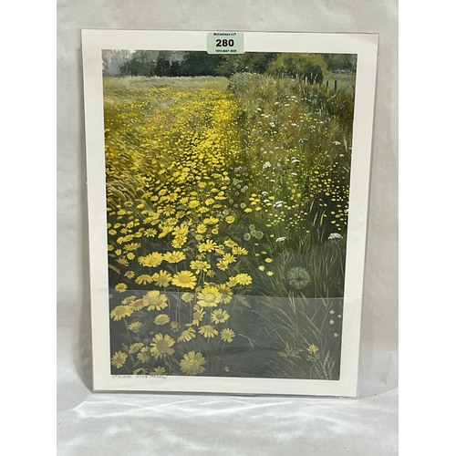 MEG STEVENS. BRITISH 1931-2012 A limited edition print. SIgned and ...