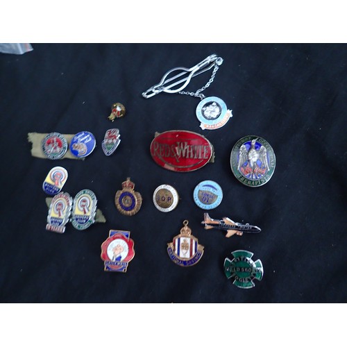 Some Rare and unusual enamel pin badges inc Butlins, Butlins Beaver ...