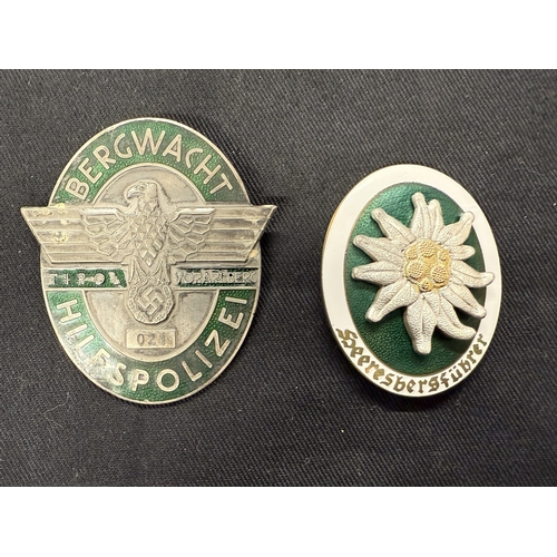 Militaria: WWII German army Heeresbergfuhrer white/green enamel badge ...