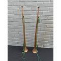 Pair of Coaching Horns