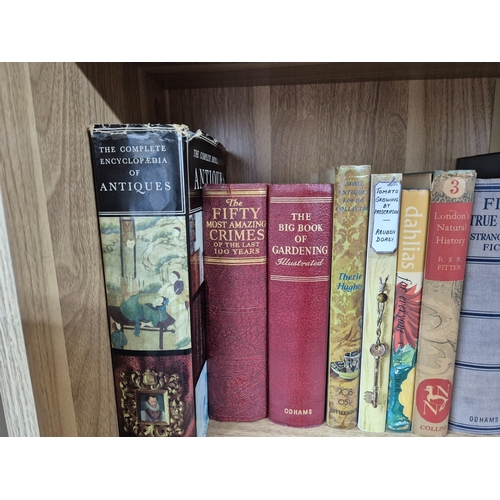 An Interesting Collection of Vintage Hardback Books