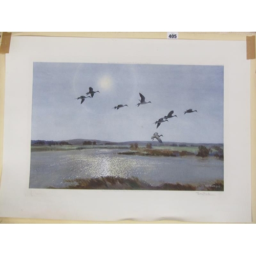 SIGNED PETER SCOTT WATERCOLOUR LITHOGRAPH
