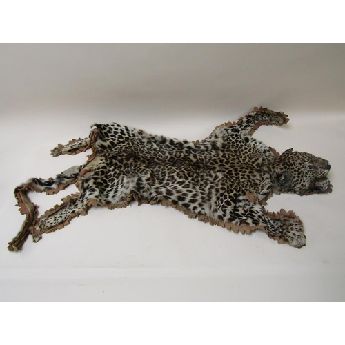 A taxidermy Cheetah skin rug with head and tail, from tip of nose to ...