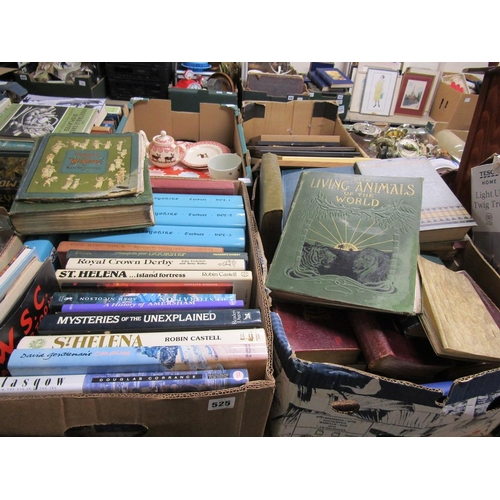 TWO BOXES OF BOOKS