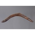 UNUSUAL RARE EARLY BOOMERANG, VICTORIA. Carved and adzed hardwood. Of ...