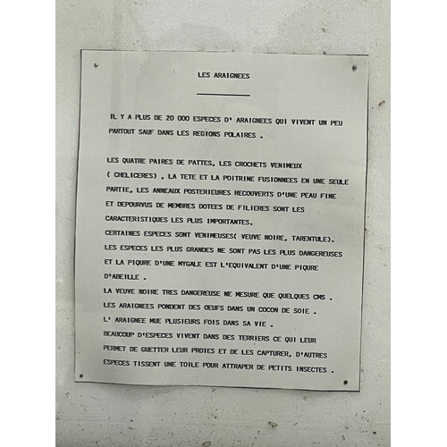 A collection of large vintage cased taxidermy spiders. Case measures ...